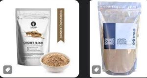 Acheta Powder: Brands and Foods That Are Revolutionizing Our Diets ...